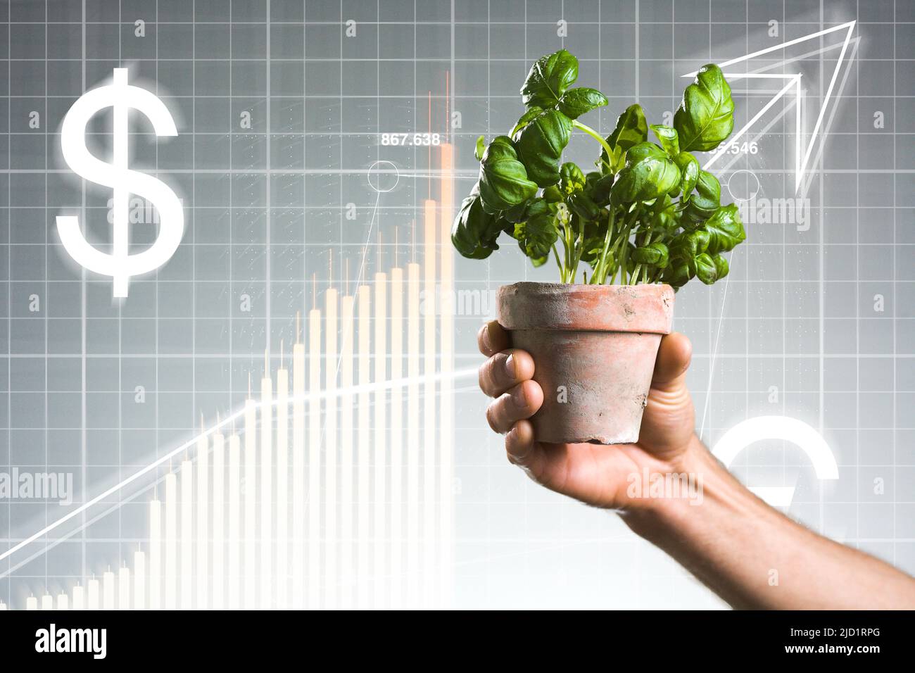 Financial chart and hand holding fresh basil Stock Photo - Alamy