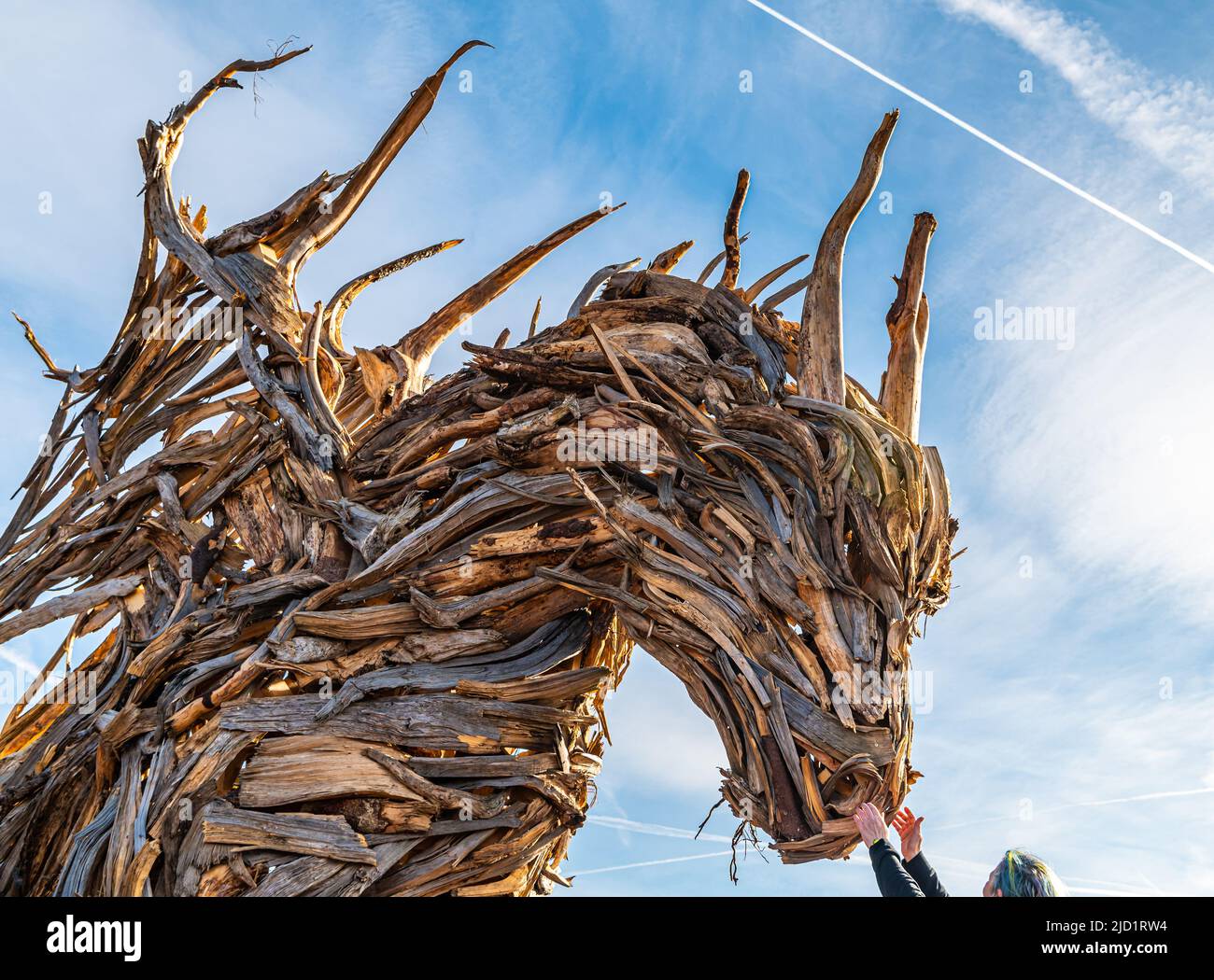 Drago Vaia (Vaia Dragon). The sculpture is the work of the artist Marco ...