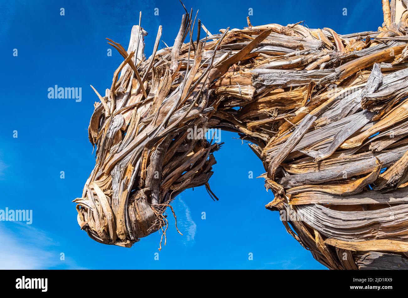 Drago Vaia (Vaia Dragon). The sculpture is the work of the artist Marco ...
