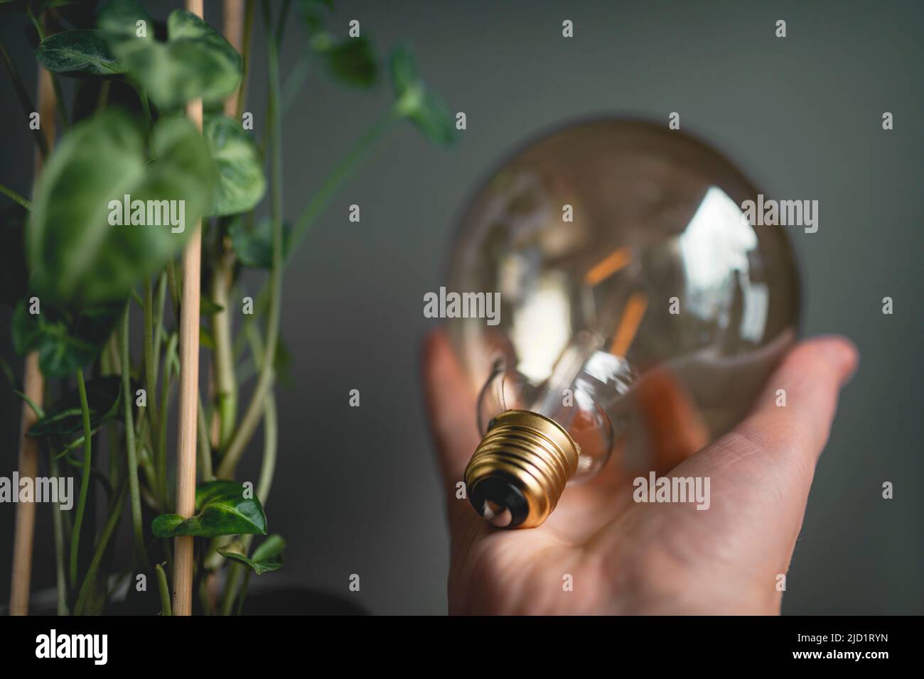 Hand holding Edison bulb Stock Photo - Alamy