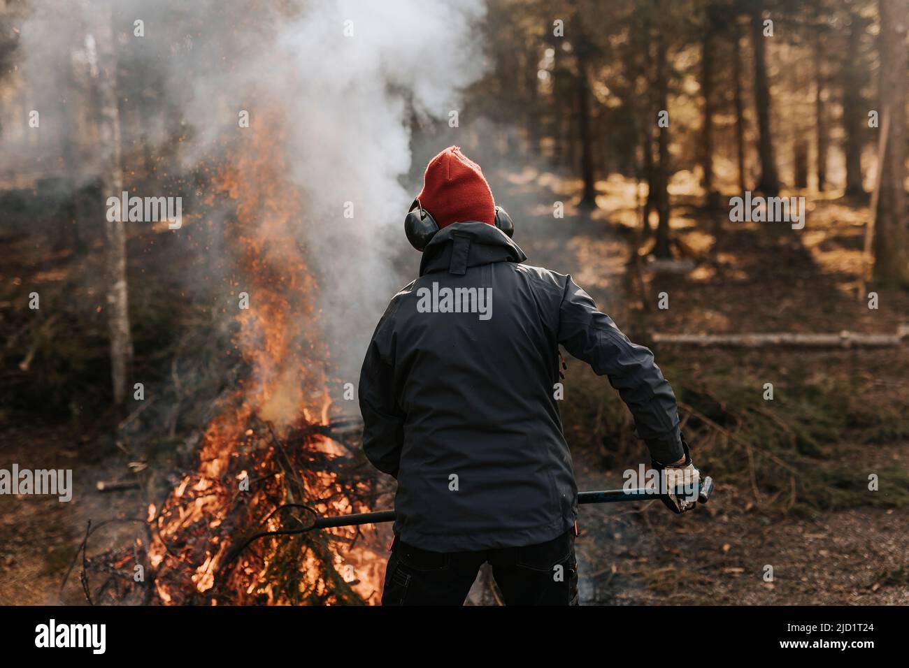 Rear view of person burning branches in forest Stock Photo - Alamy