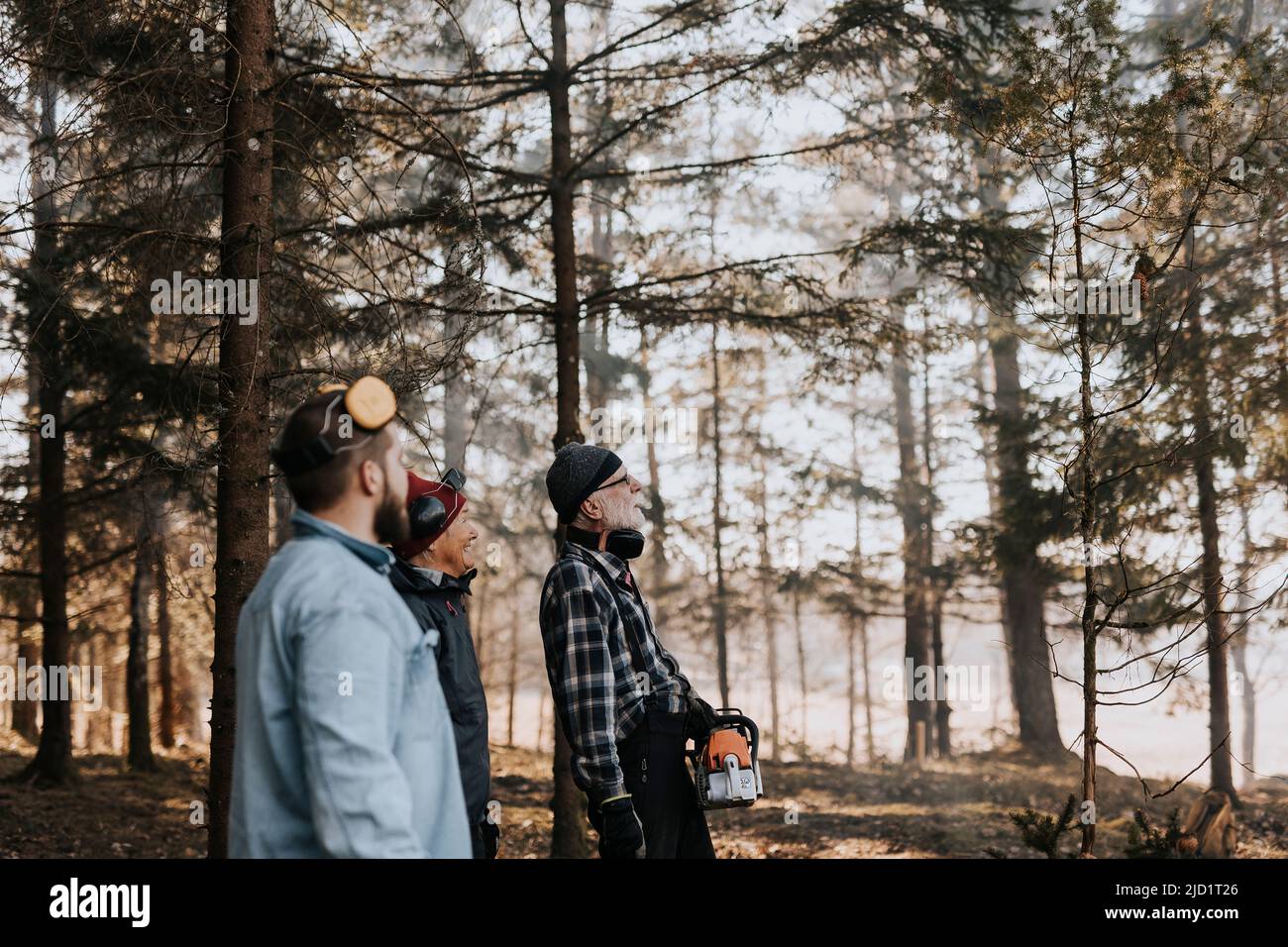 People in forest looking away Stock Photo - Alamy