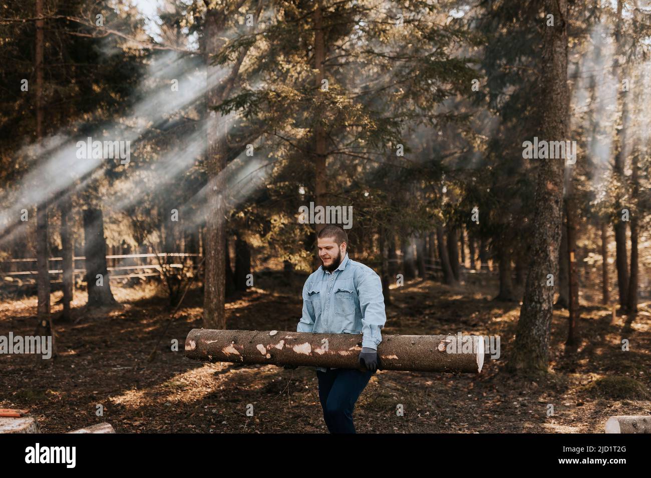 Man carrying log in forest Stock Photo - Alamy