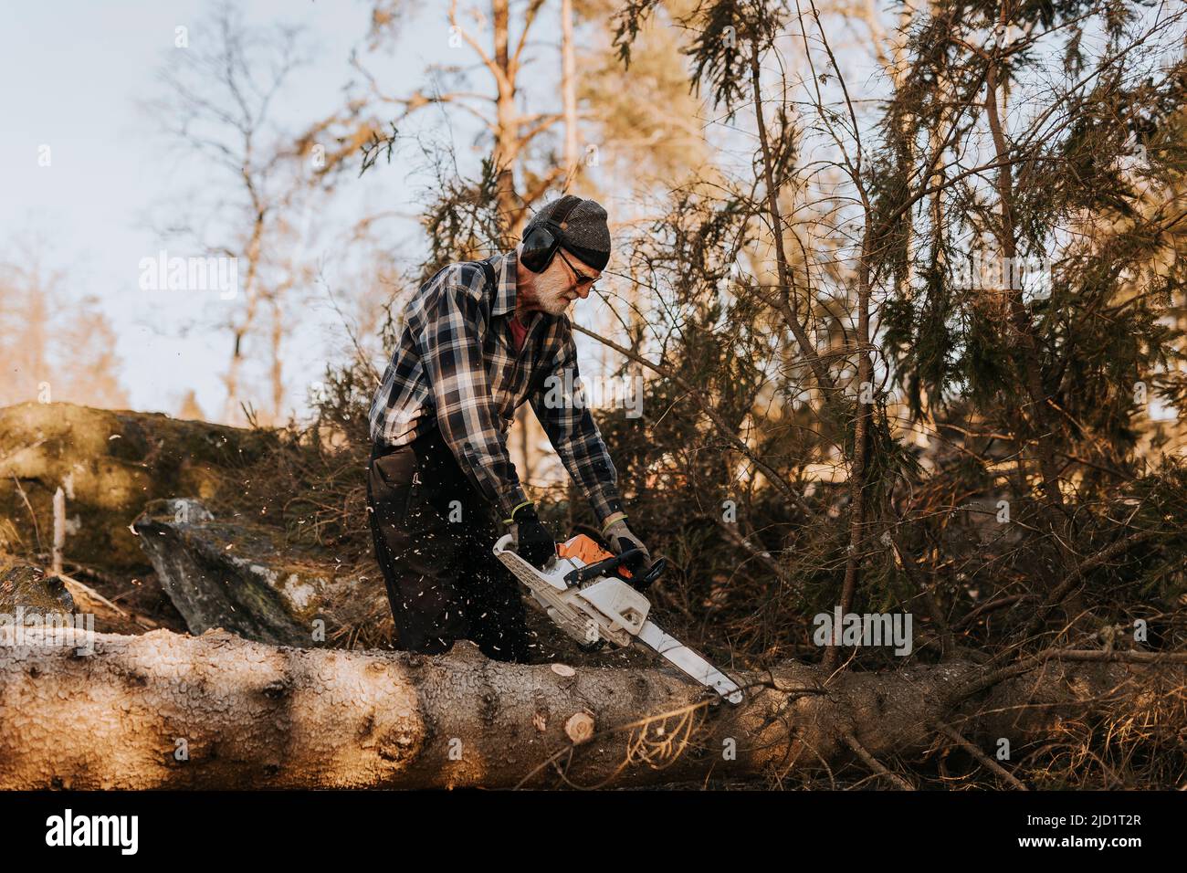 Real people men tree hi-res stock photography and images - Alamy