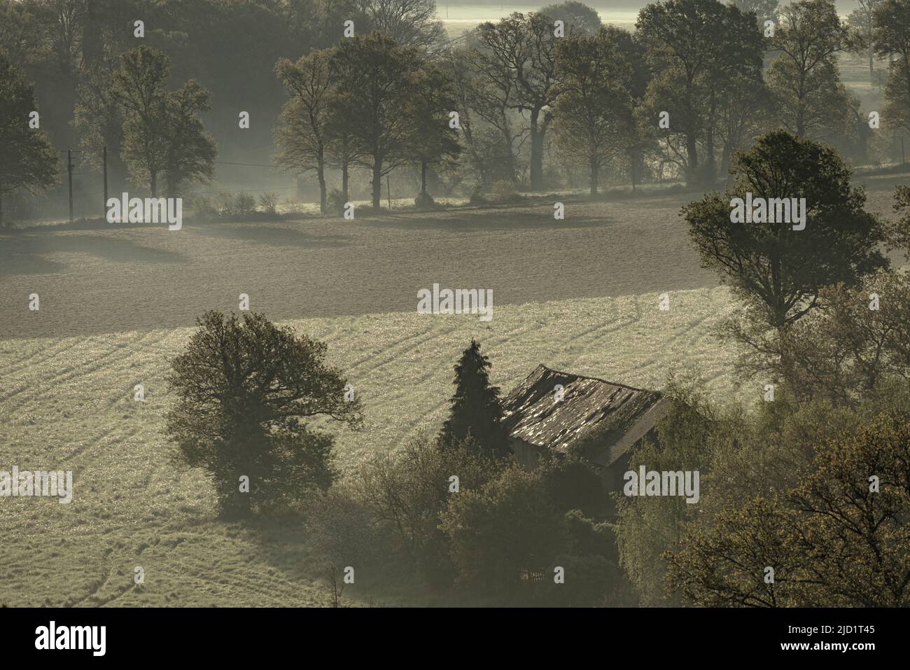 Rural landscape. Morning mist on a spring morning. The sunrise over the ...