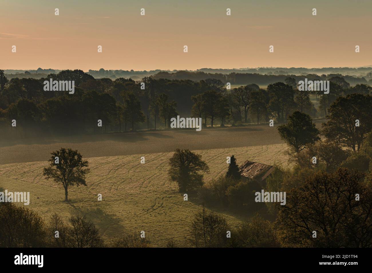 Rural landscape. Morning mist on a spring morning. The sunrise over the ...