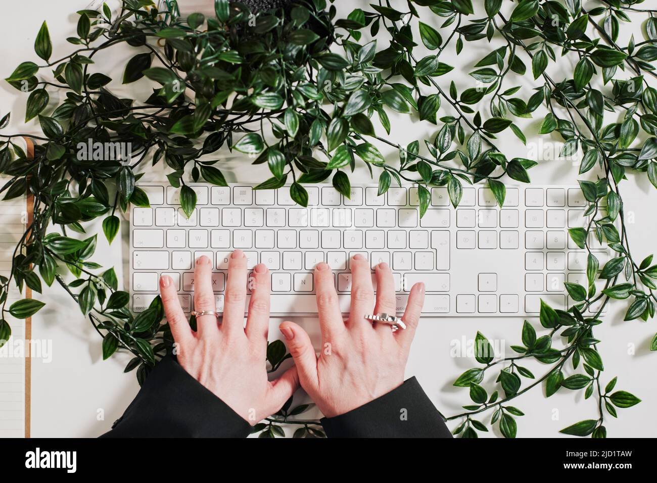 Woman's hands using laptop Stock Photo - Alamy