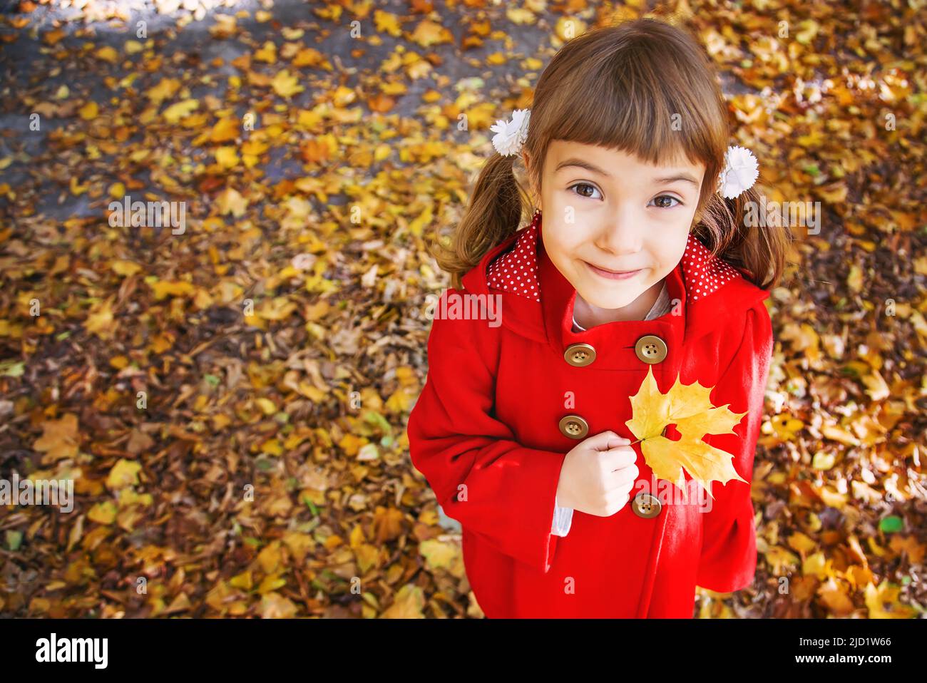 child in a red coat with autumn leaves. Love autumn. Selective focus ...