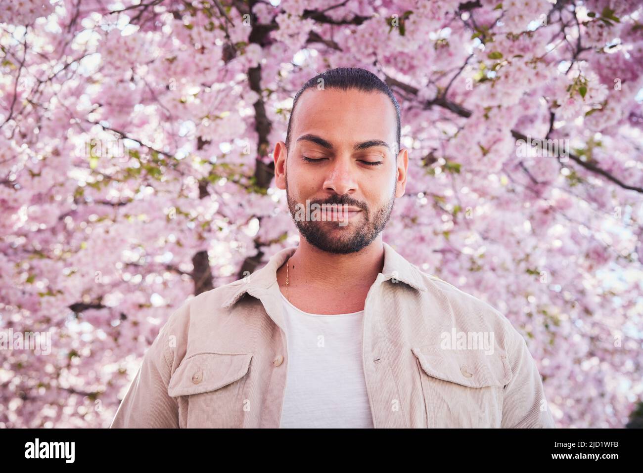 Young man standing under cherry blossom Stock Photo - Alamy