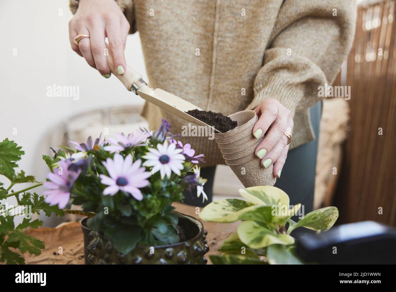 Planting soil vegetation hi-res stock photography and images - Alamy