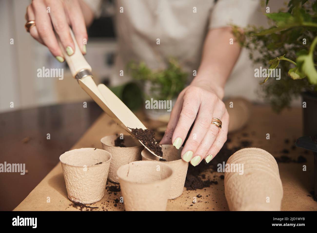 Planting vegetation hi-res stock photography and images - Alamy