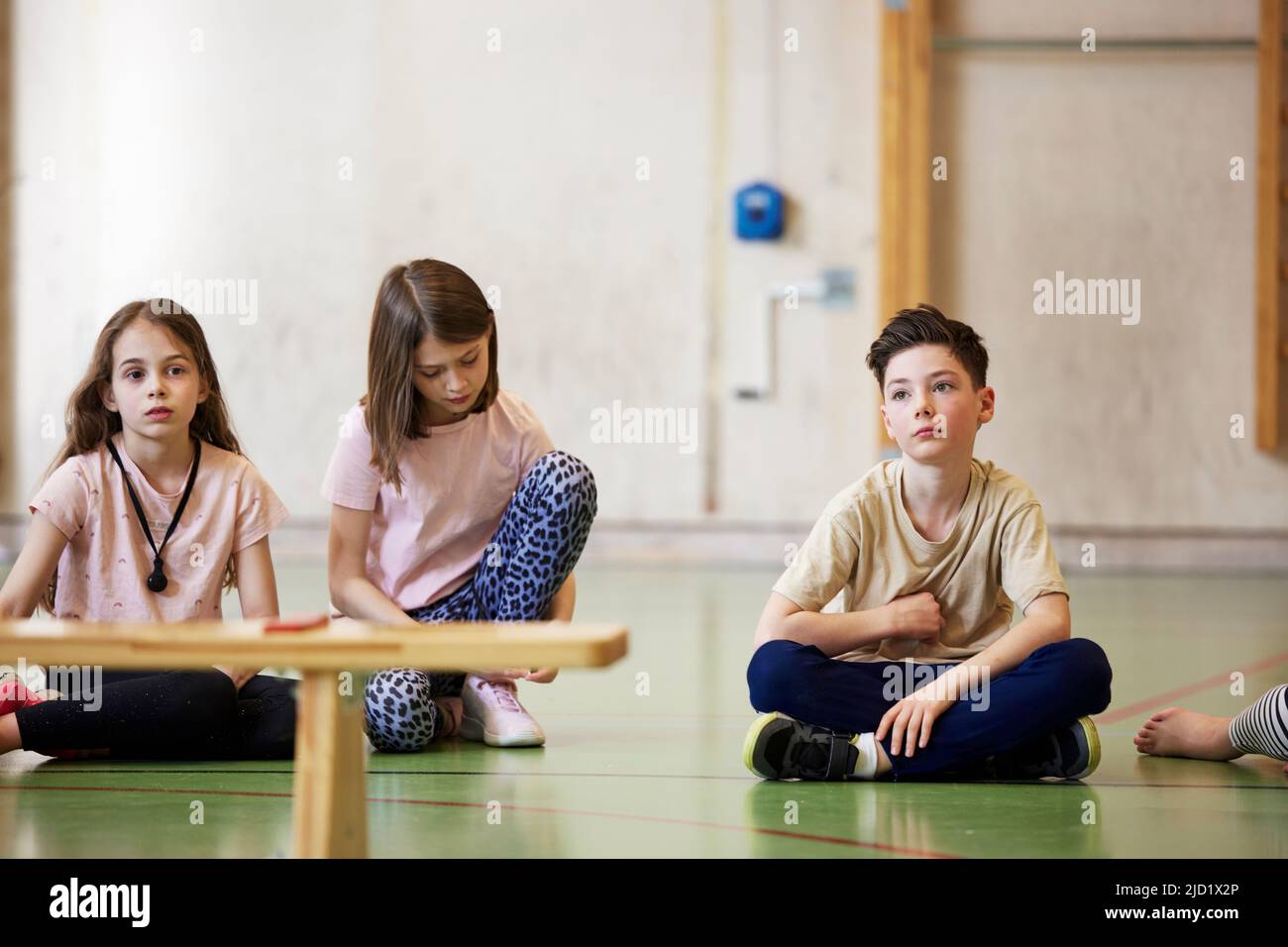 Children having class in school gym Stock Photo - Alamy