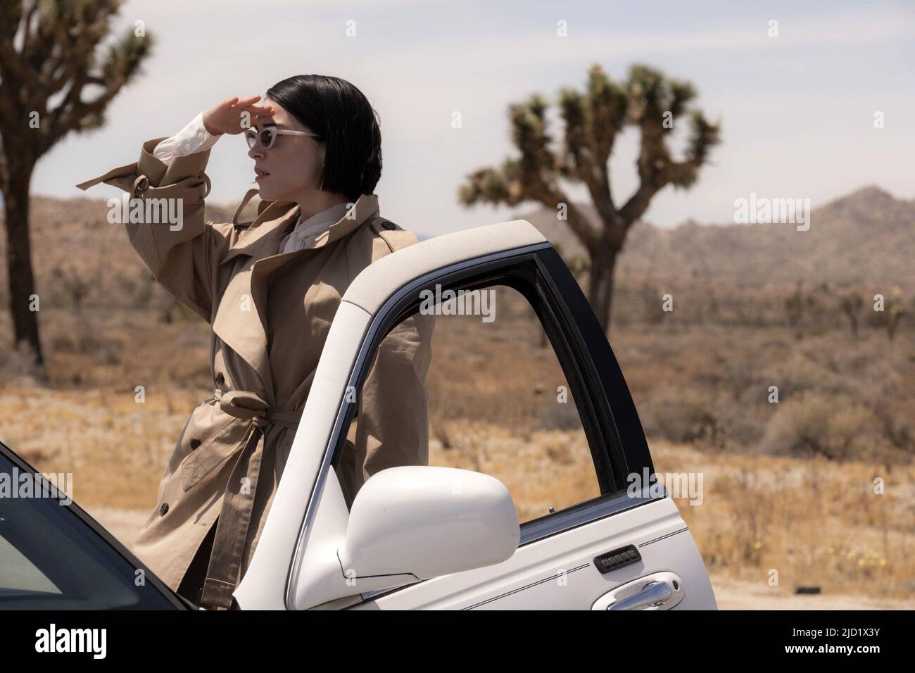 ST. VINCENT in THE NOWHERE INN (2020), directed by BILL BENZ. Credit ...