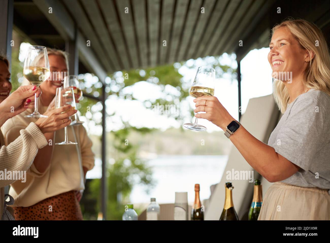 Female friends celebrating together Stock Photo - Alamy