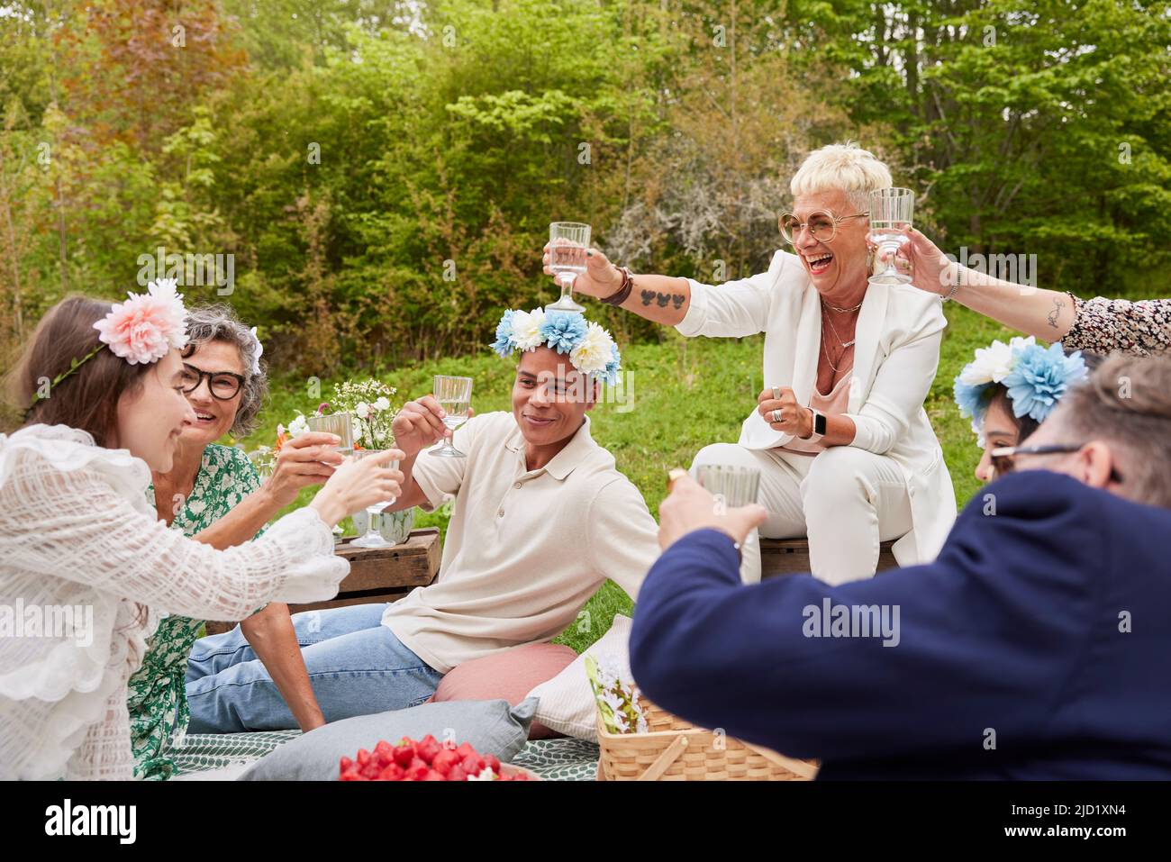 Family raising toast at picnic Stock Photo - Alamy