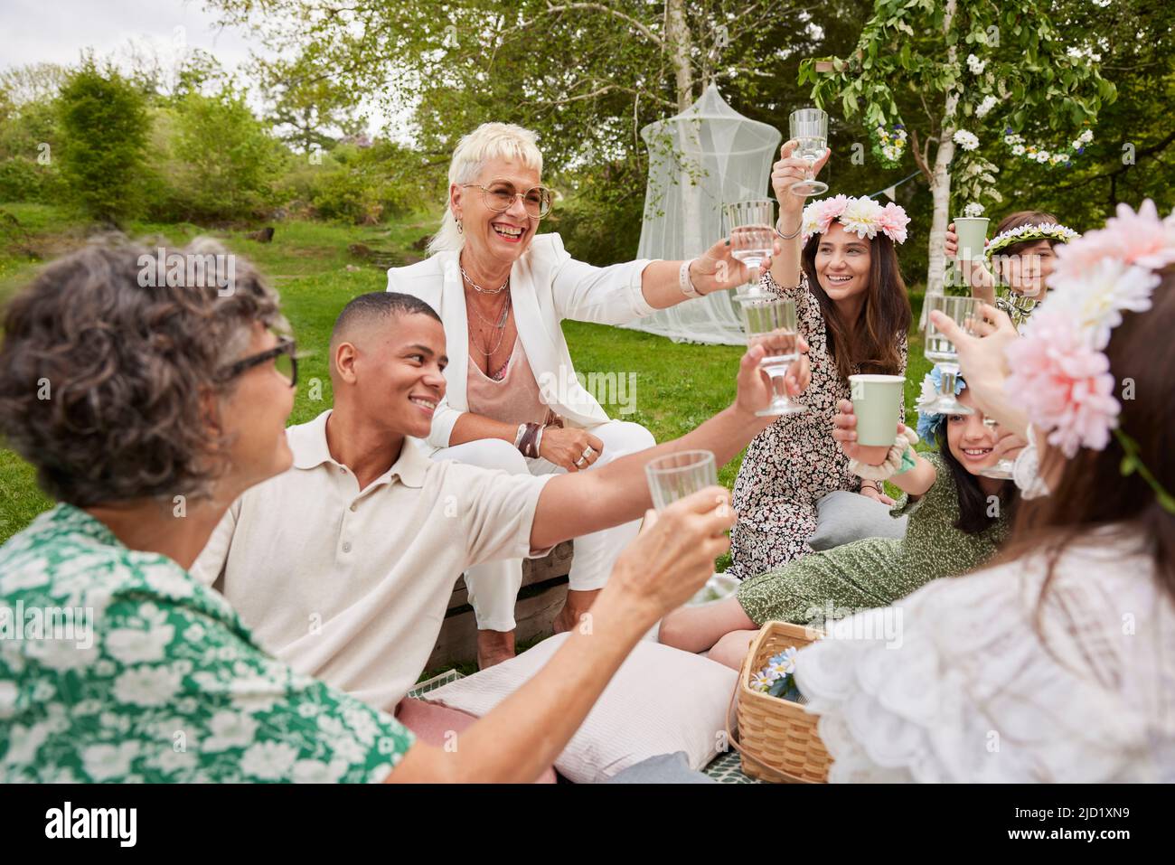 Family raising toast at picnic Stock Photo - Alamy