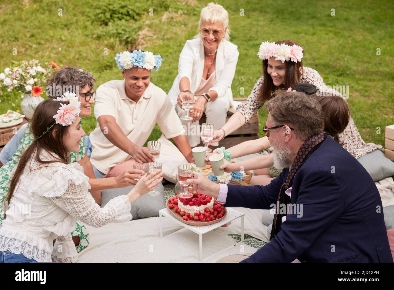 Family raising toast at picnic Stock Photo - Alamy