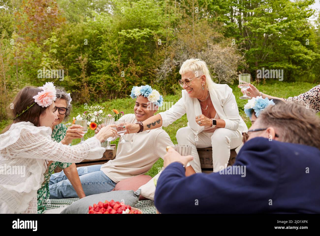 Family raising toast at picnic Stock Photo - Alamy