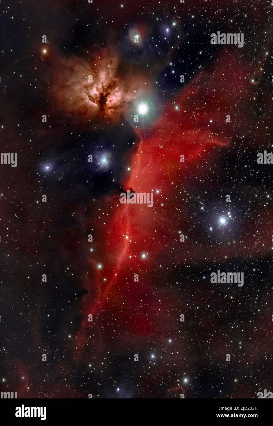 Flame nebula, the emission nebula IC434 and the dark Horsehead Nebula ...