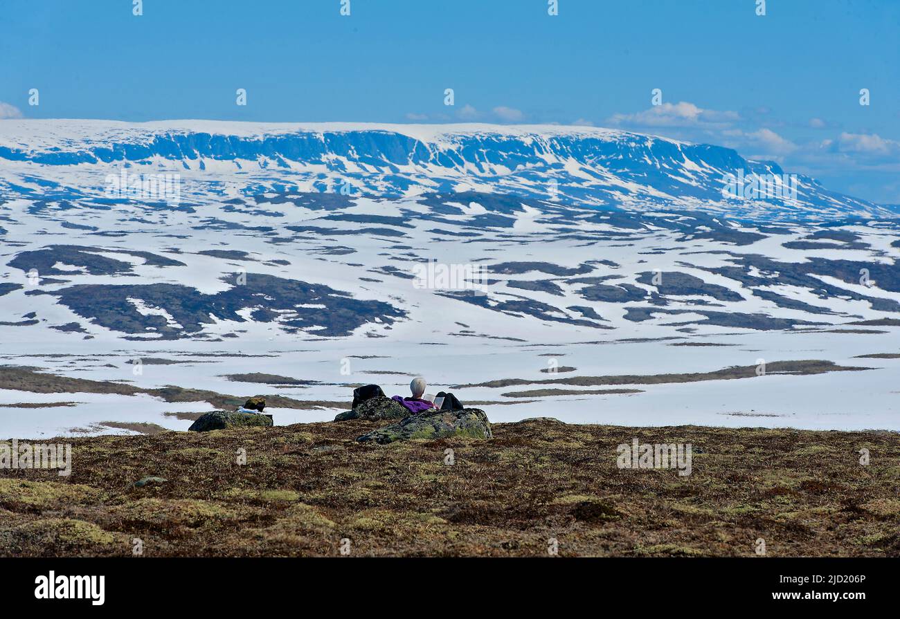 View towards the spectacular mountain range Hallingskarvet from Dyranut ...