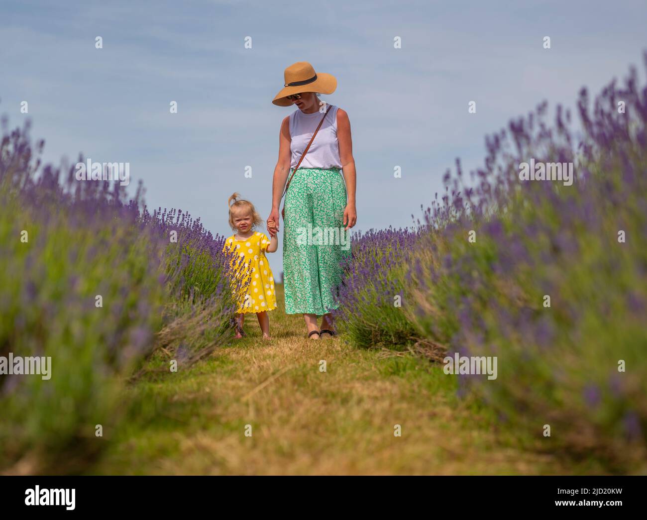 Farm epsom hi-res stock photography and images - Alamy