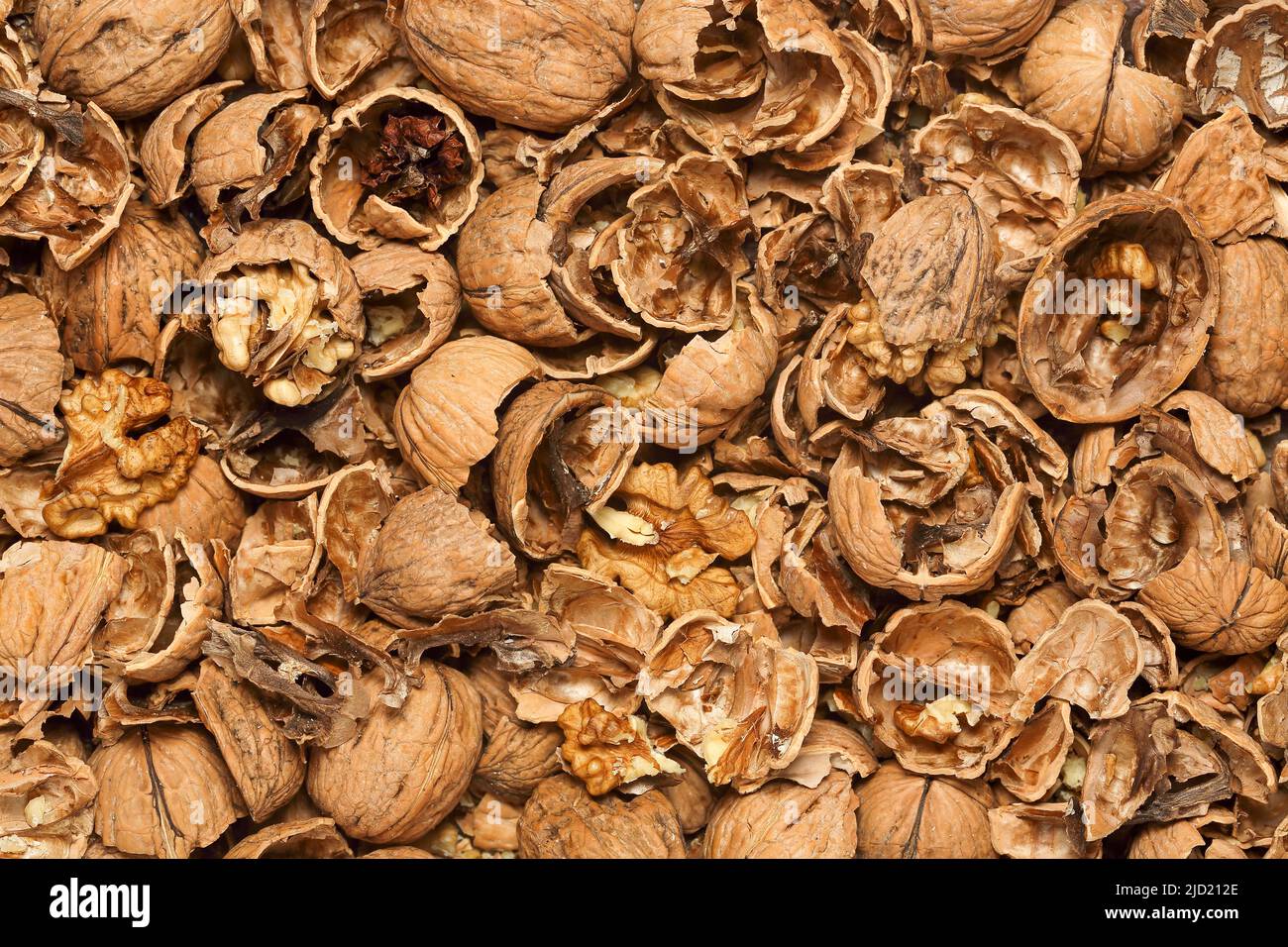 broken walnut shells closeup for backgrounds Stock Photo - Alamy