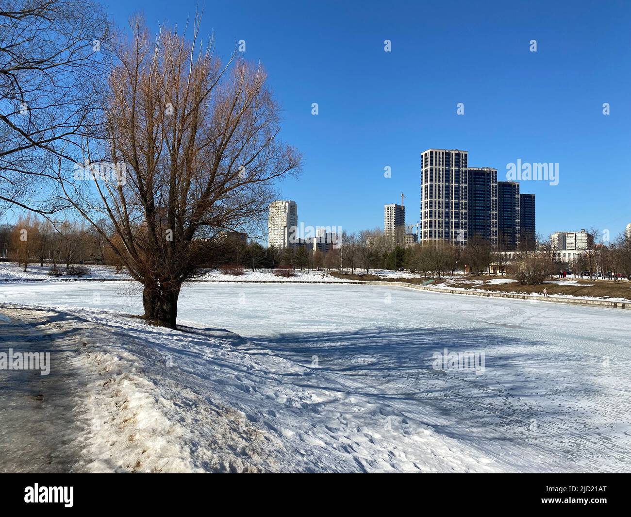 winter in city park at dry sunny day Stock Photo - Alamy