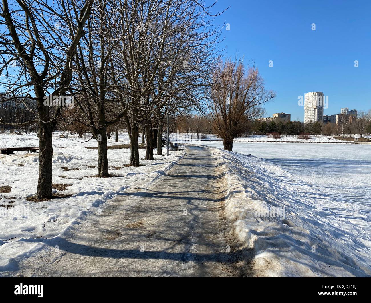 winter in city park at dry sunny day Stock Photo - Alamy