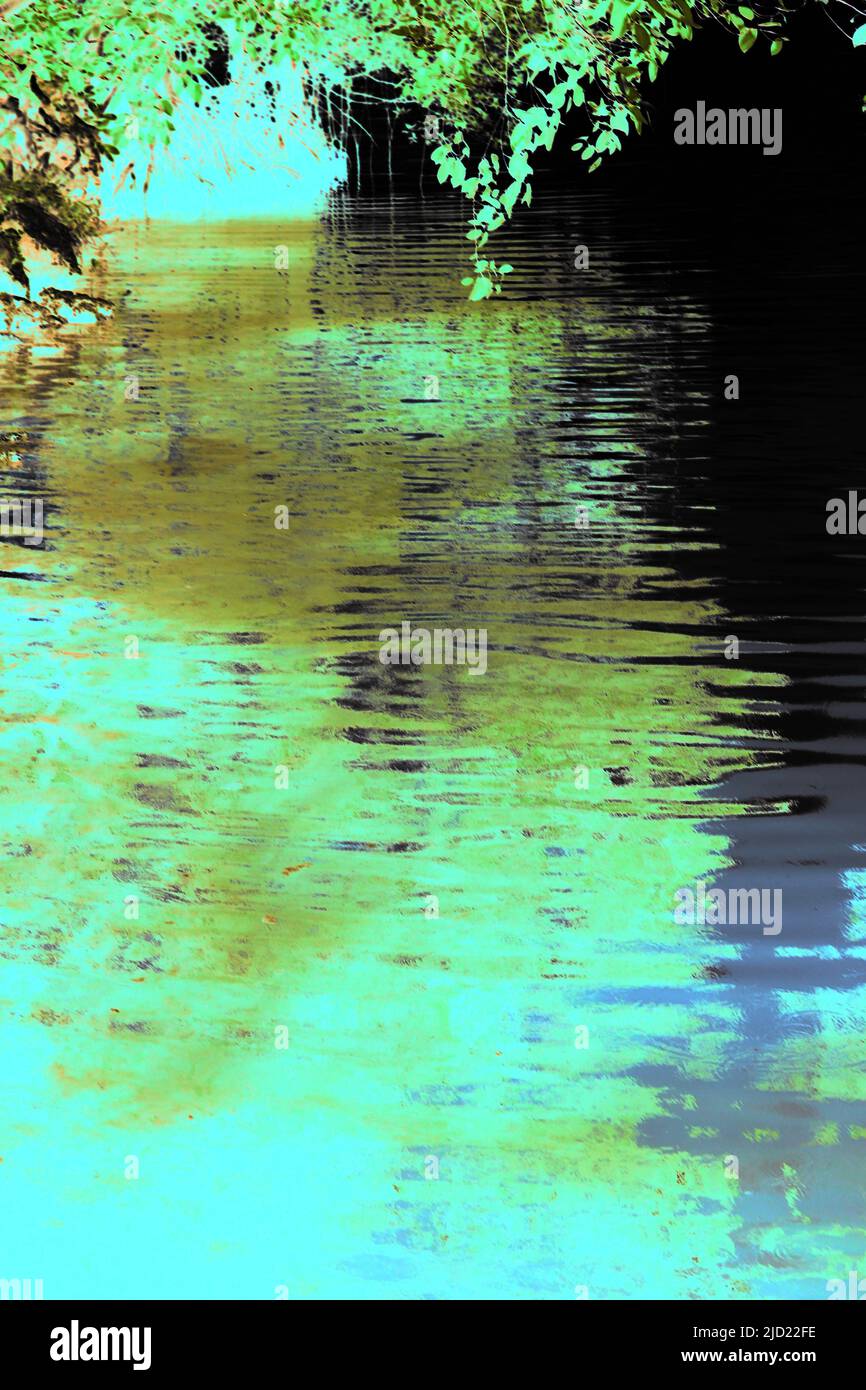 A river flowing thru the tropical jungle in a color negative Stock ...