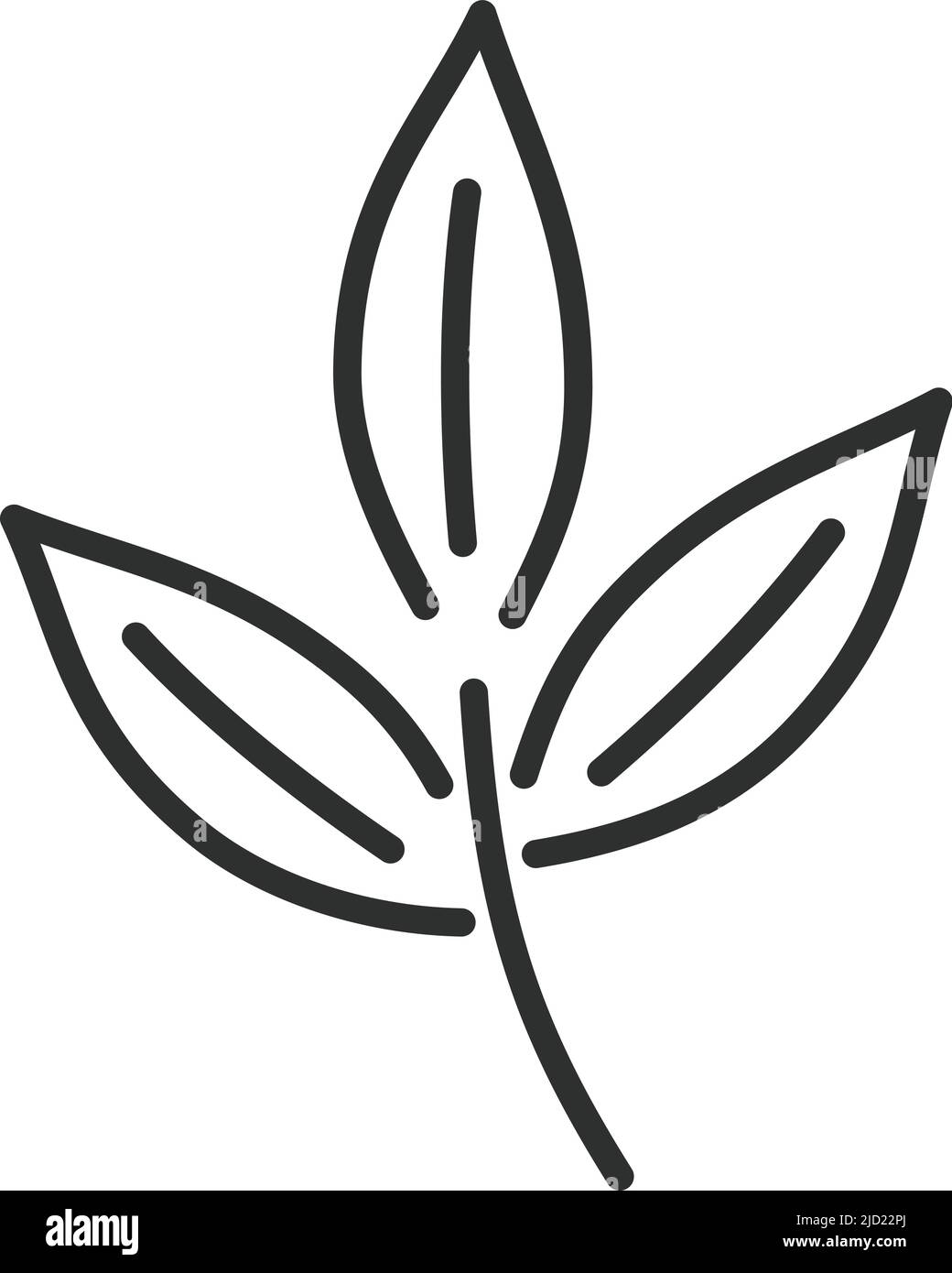 Park tree line Cut Out Stock Images & Pictures - Alamy