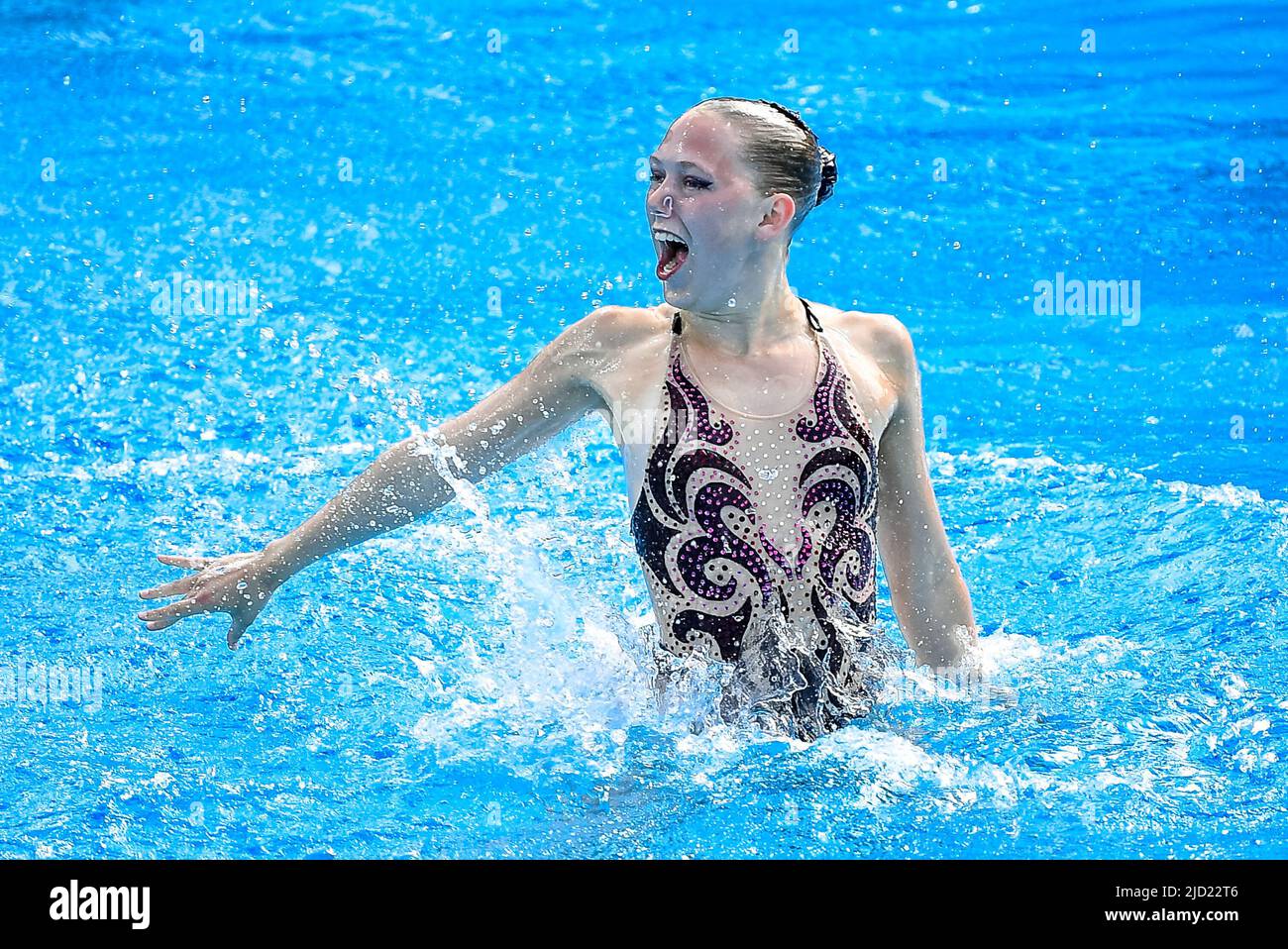 Ternstrom clara hi-res stock photography and images - Alamy