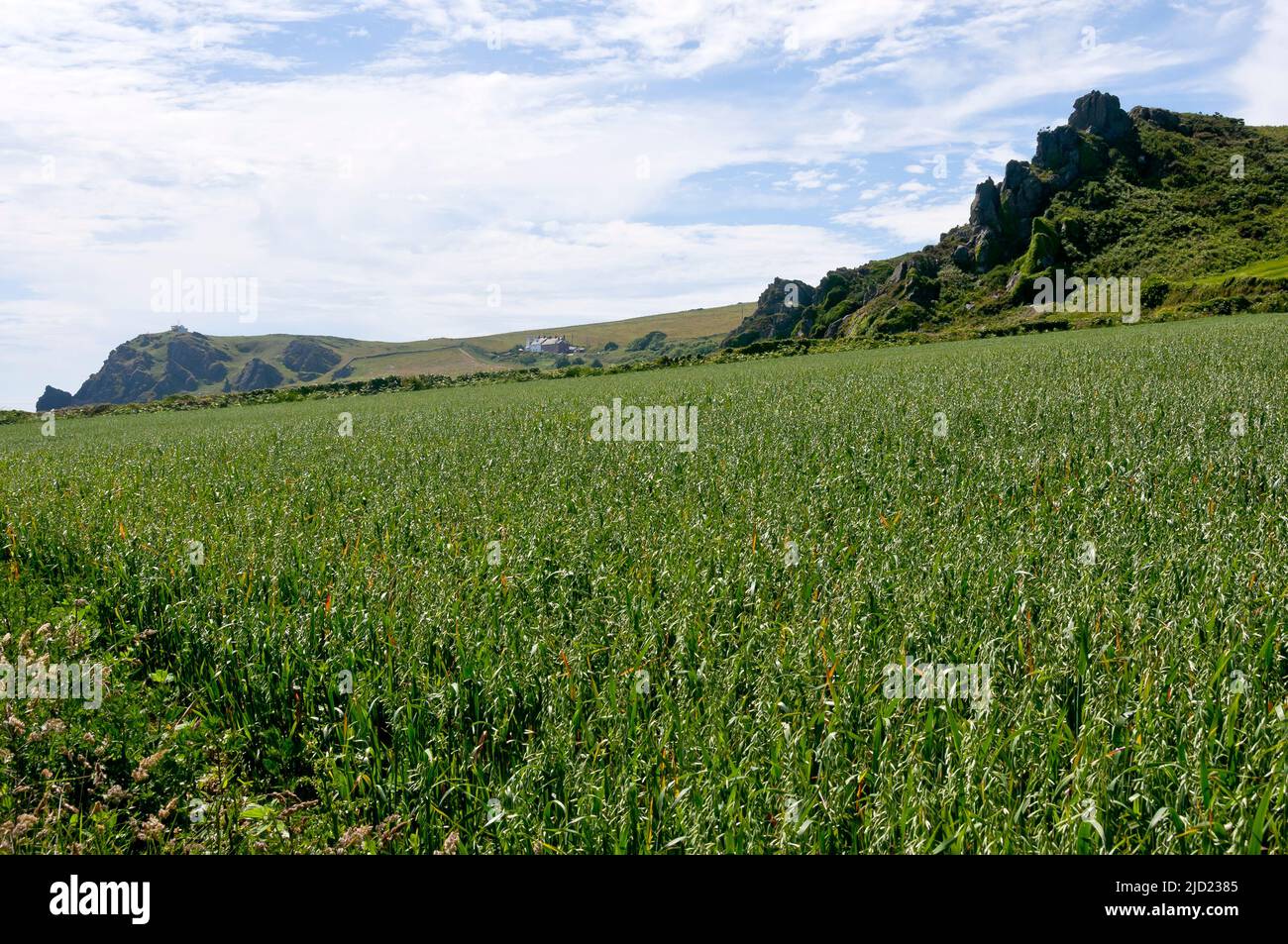 View towards the National Coast Watch lookout post at Prawle Point ...