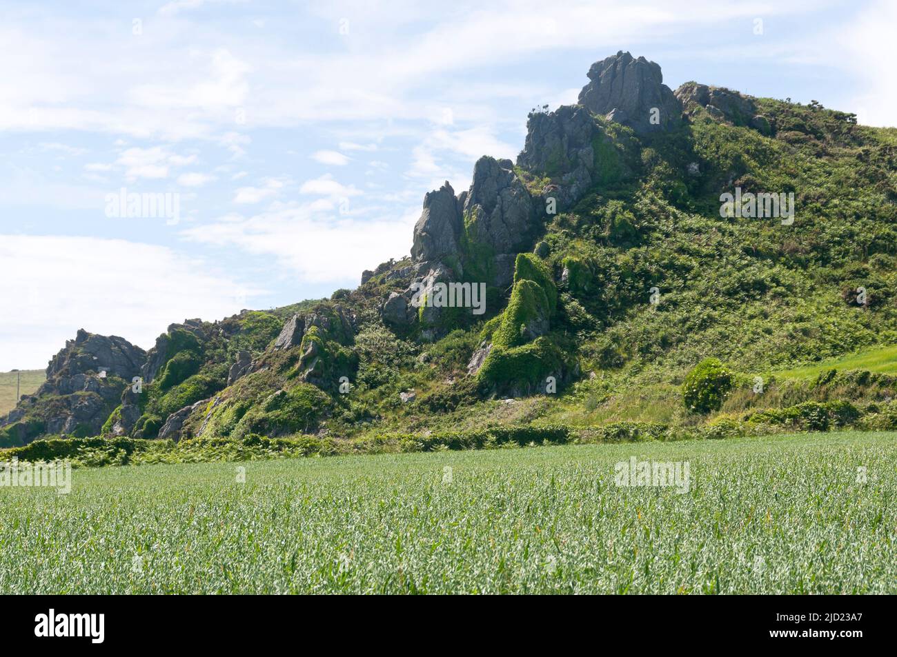 South West Coast Path near Prawle Point, Devon, England Stock Photo - Alamy