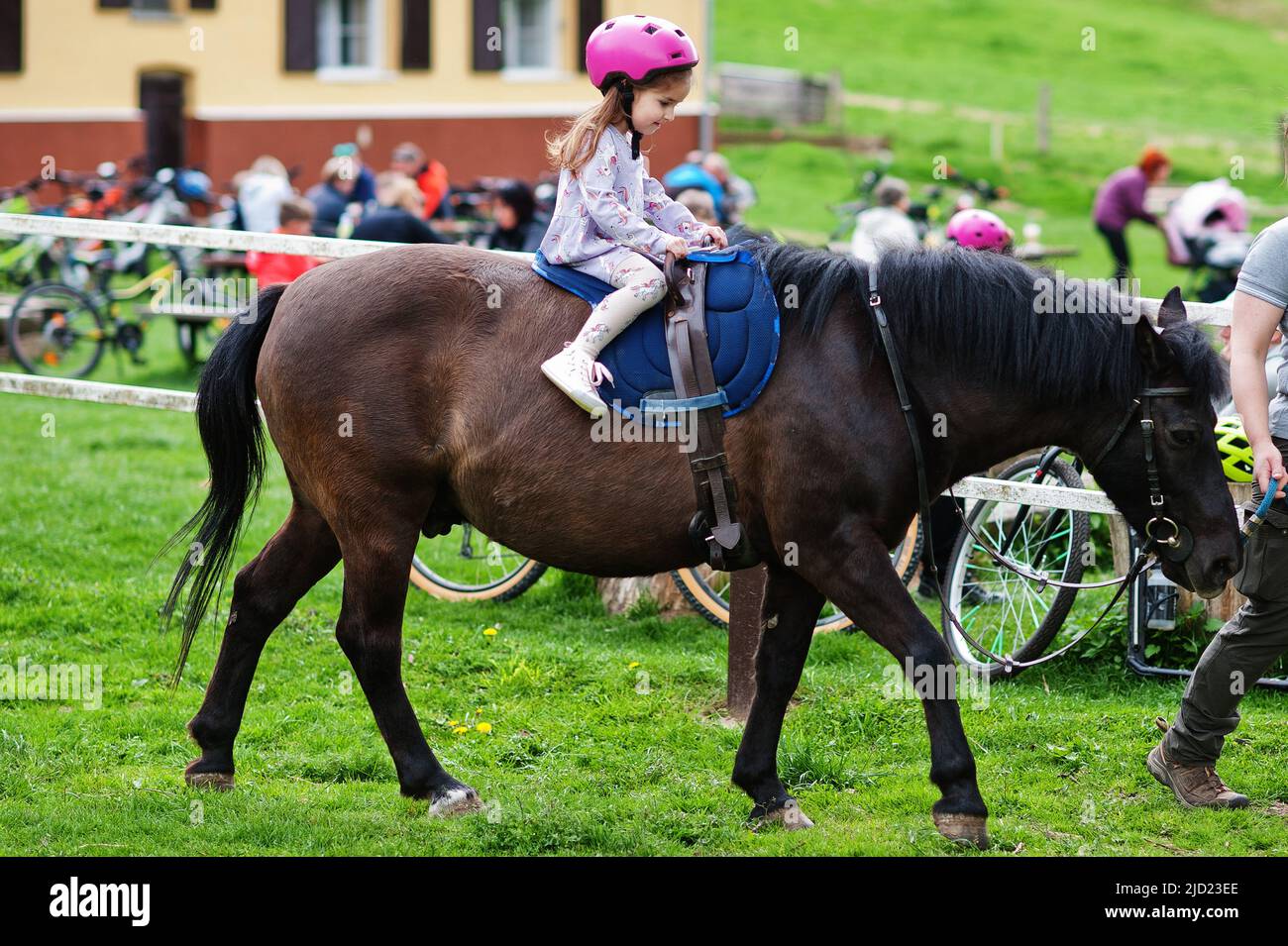Small baby girl in pink helmet ride pony Stock Photo - Alamy