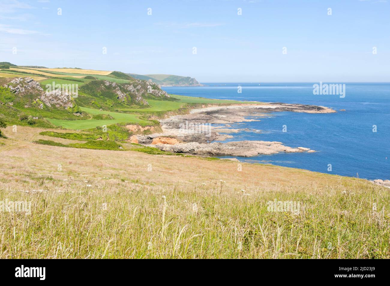 South West Coast Path near Prawle Point, Devon, England Stock Photo - Alamy