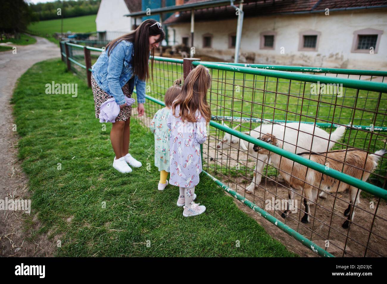Mother with kids on an animal eco farm feed goats Stock Photo - Alamy