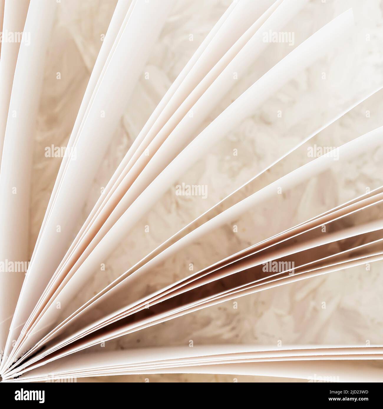 Close up opened book, notebook pages, blurry light background Stock ...