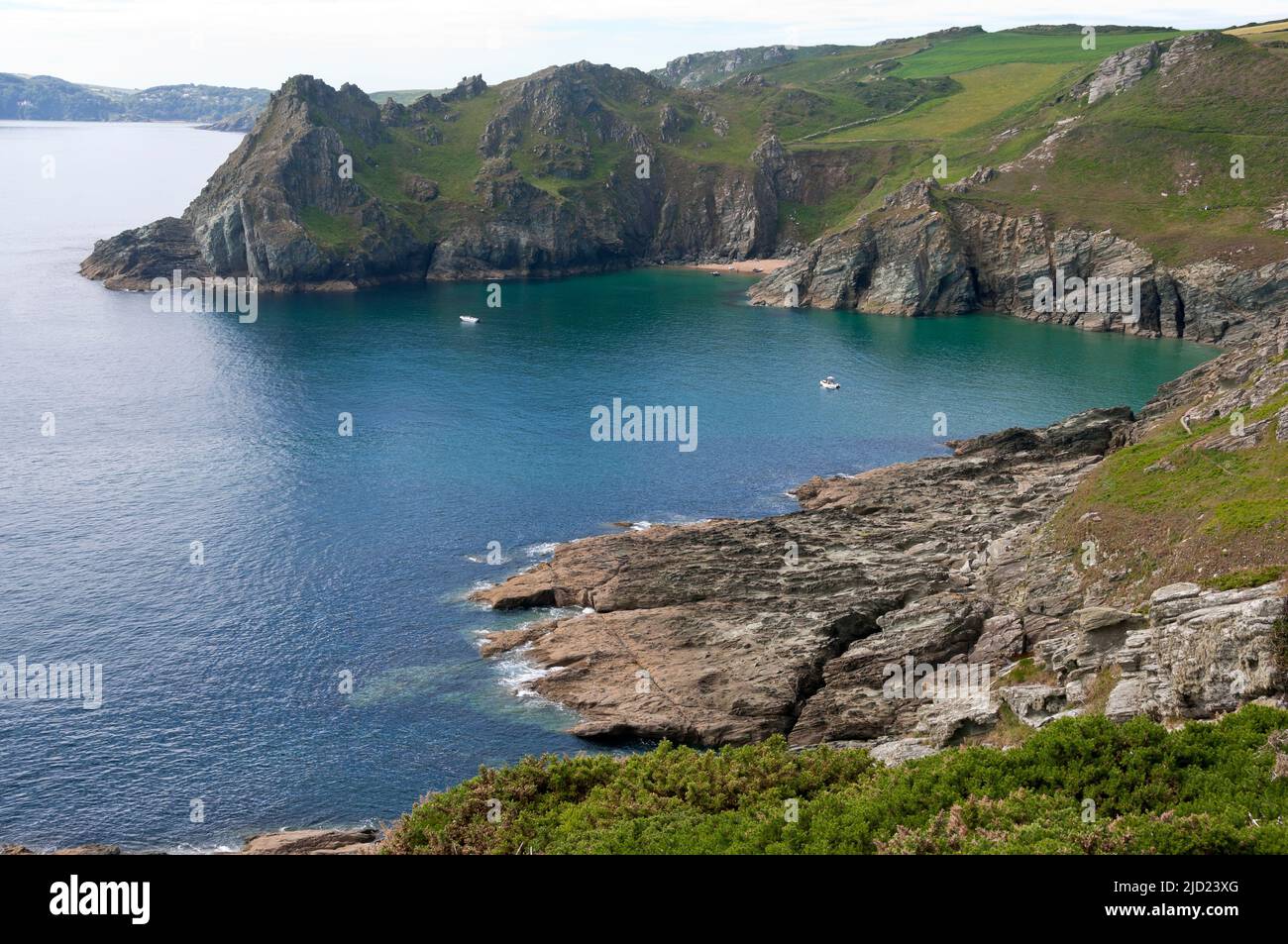 South West Coast Path near Prawle Point, Devon, England Stock Photo - Alamy