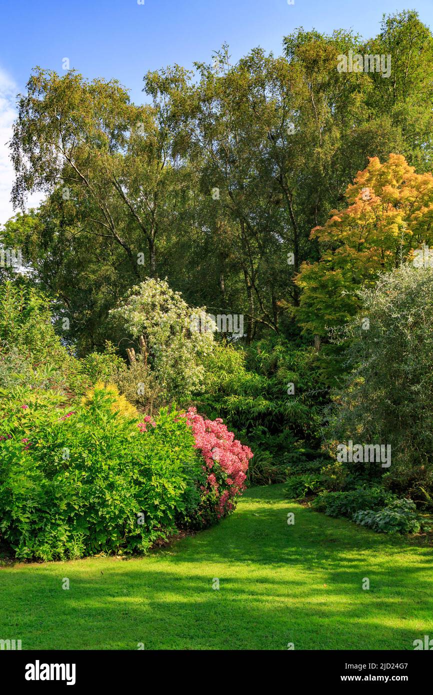 Colourful trees and shrubs at Burrow Farm Gardens, created by Mary ...