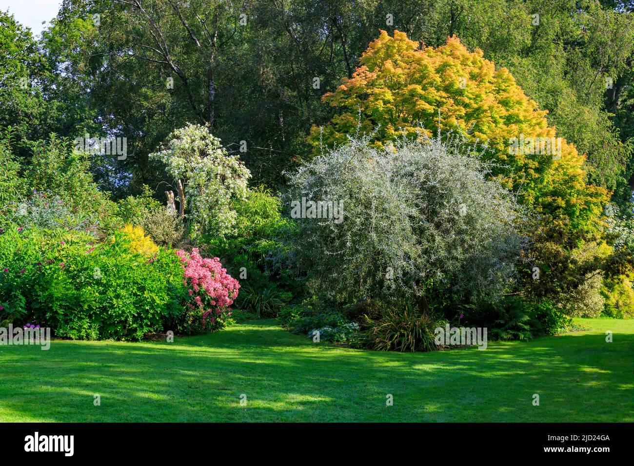 Colourful trees and shrubs at Burrow Farm Gardens, created by Mary ...