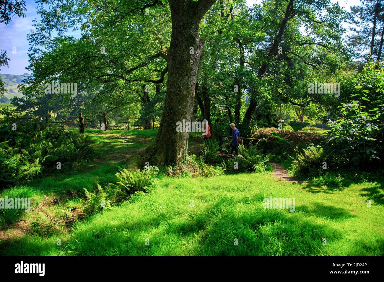 Shady gardens hi-res stock photography and images - Alamy