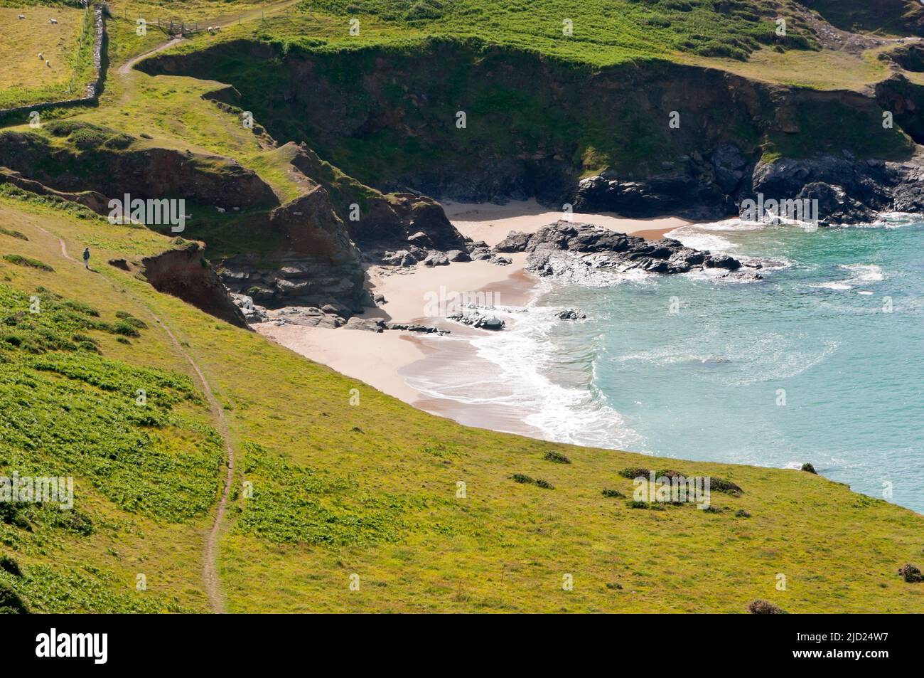 South West Coast Path near Prawle Point, Devon, England Stock Photo - Alamy