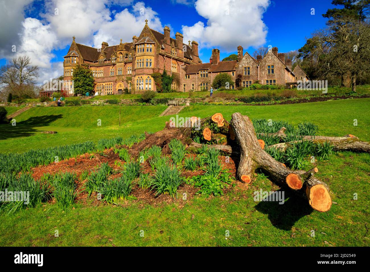 Knightshayes devon spring hi-res stock photography and images - Alamy