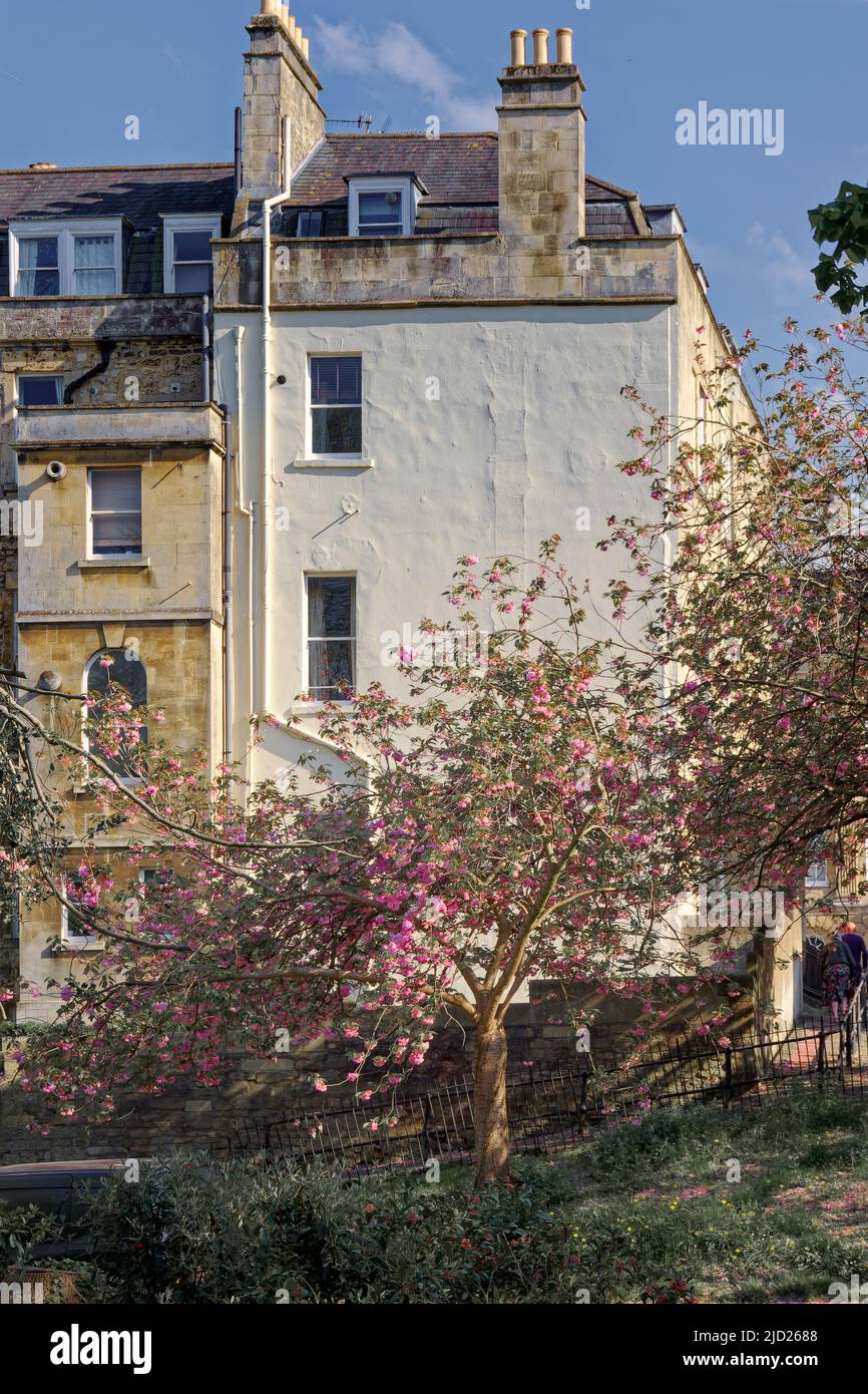 Spring in Bath Stock Photo - Alamy