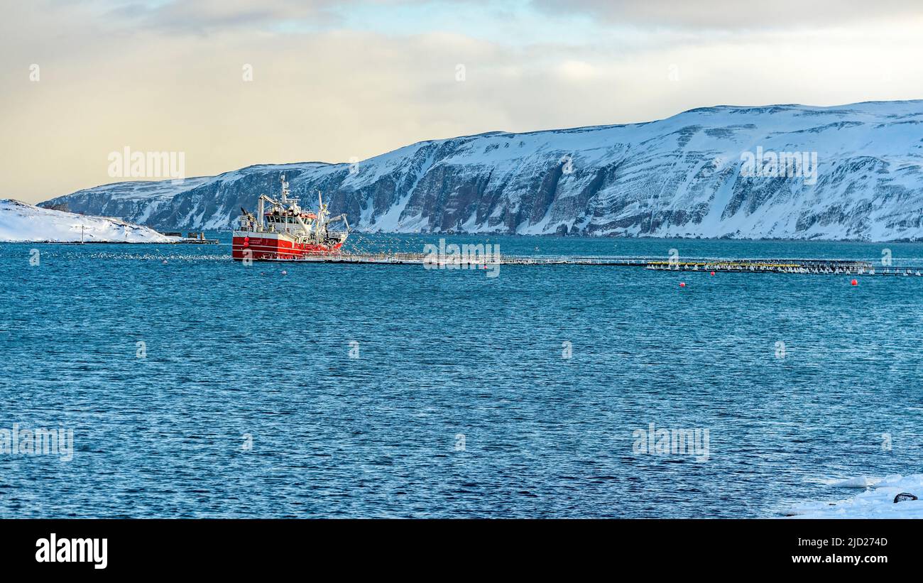 Large fish farm raising salmon in Baatsfjord, Troms & Finnmark ...