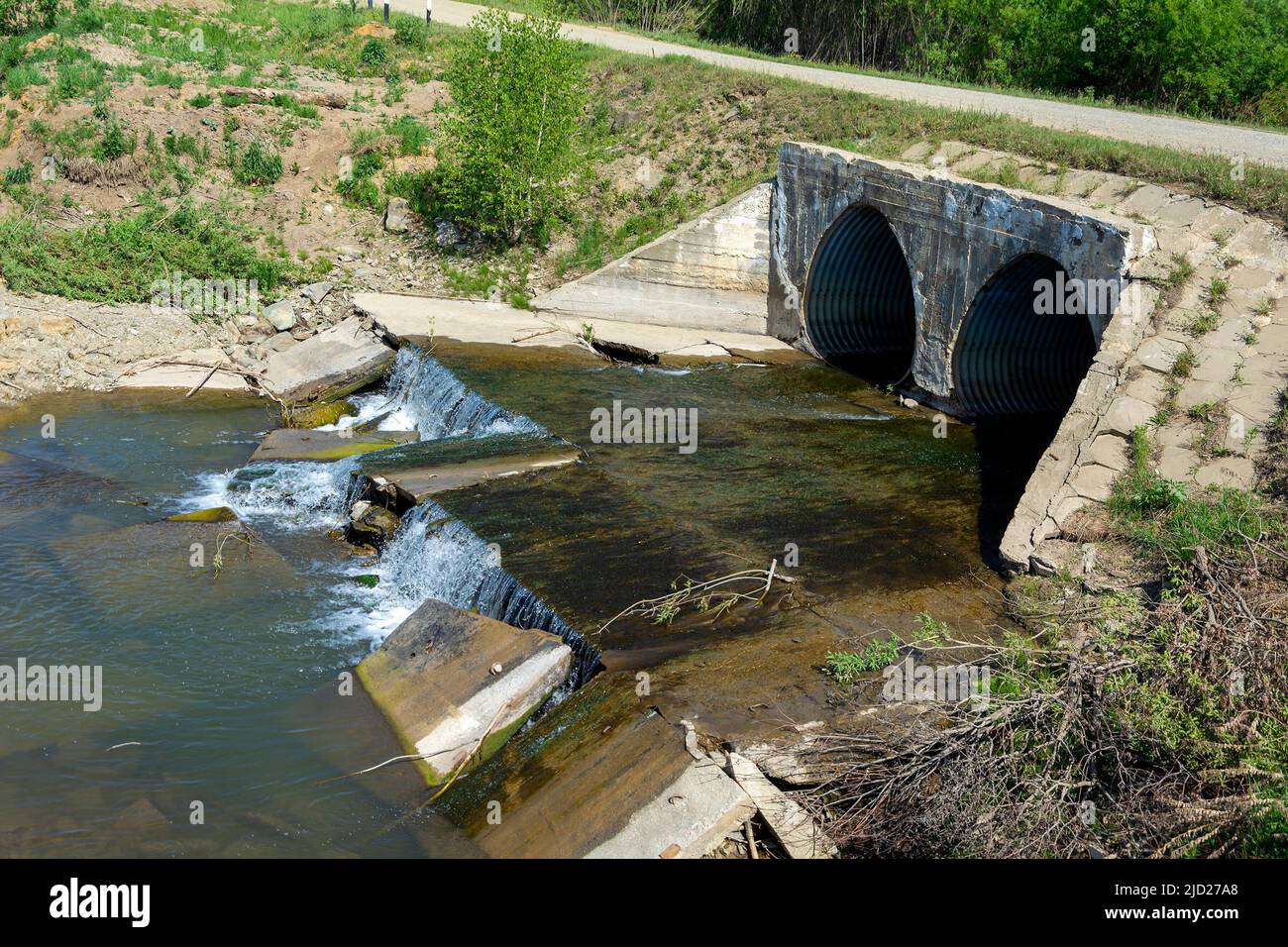 Bridge over the taiga river Suenga, Novosibirsk region Stock Photo - Alamy