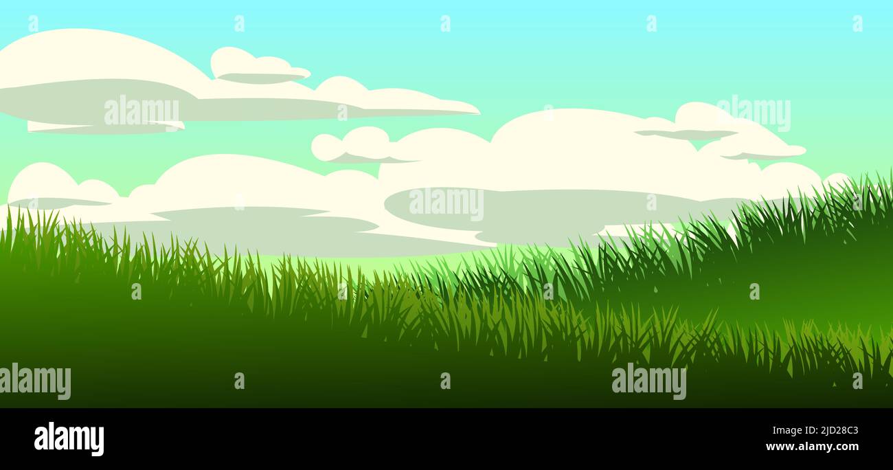 Grass. Nature rural landscape. Pasture overgrown. Overgrown dense lawn ...