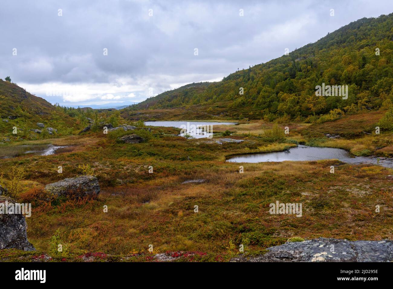 Lierne National Park in Tröndelag, Norway, is situated not far from the ...