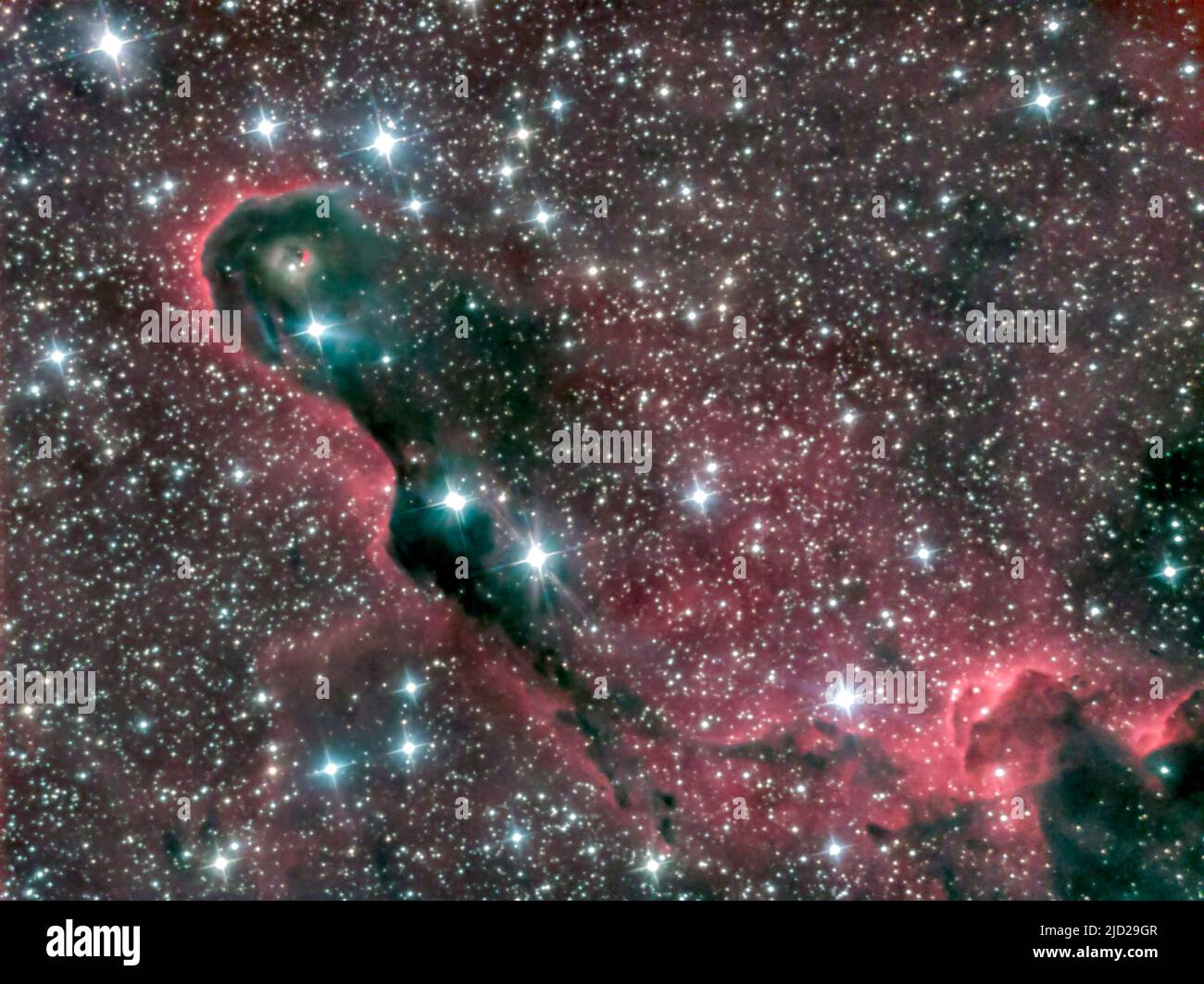 Consentration of dark, interstellar gas known as the Elephant Trunk ...