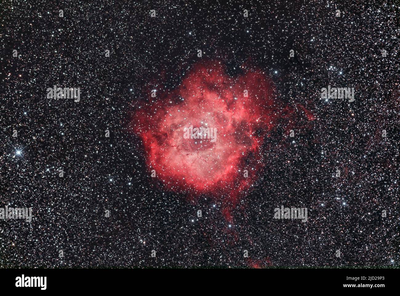 Rosette Nebula (Caldwell 49) and the open cluster NGC 2244 in ...